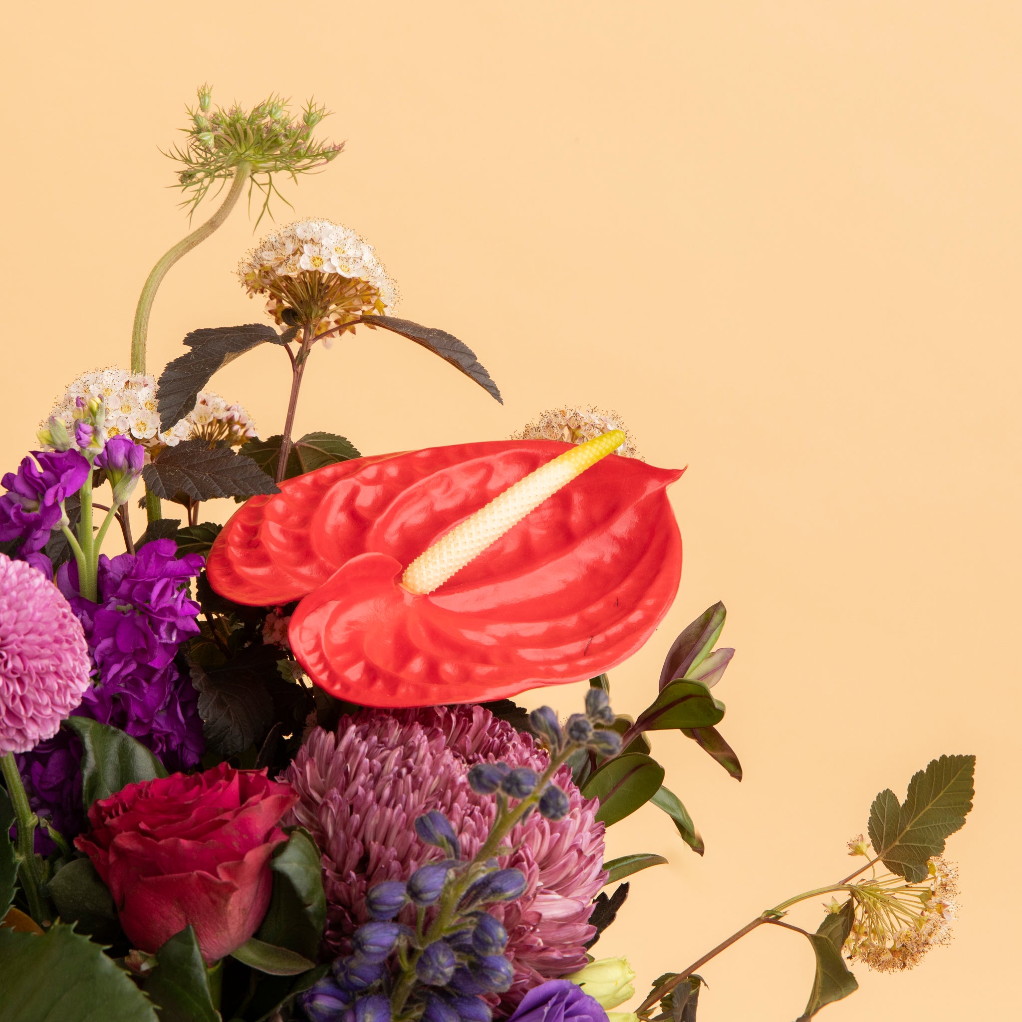 Daisy – Posy&Flute